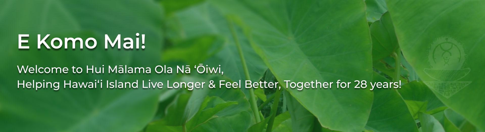 Hui Mālama Ola Nā ʻŌiwi – Live Longer & Feel Better, Together